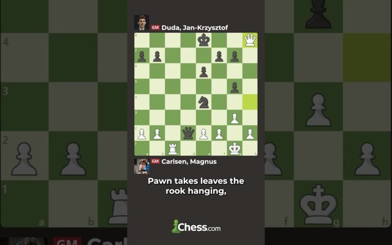 Magnus Carlsen Played The Chess Move Of The Year! – ChessTerra.com